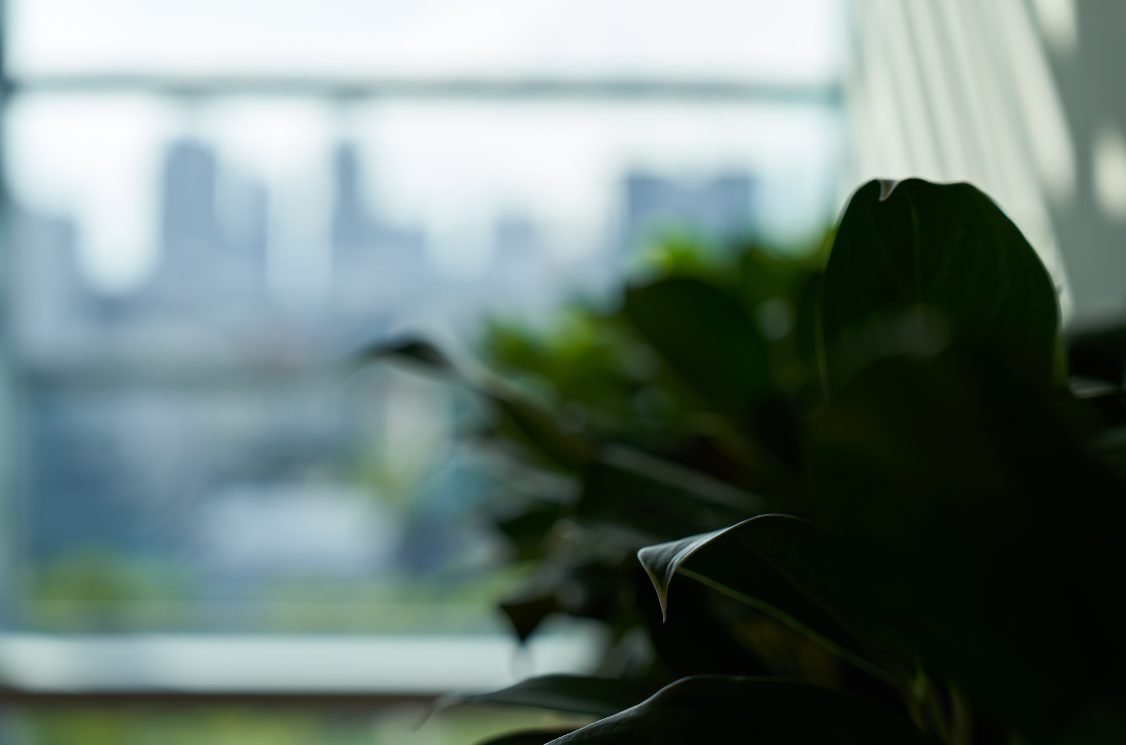 Associate Director Victoria Ting recognised in GIR's Top 40 under 40 ...